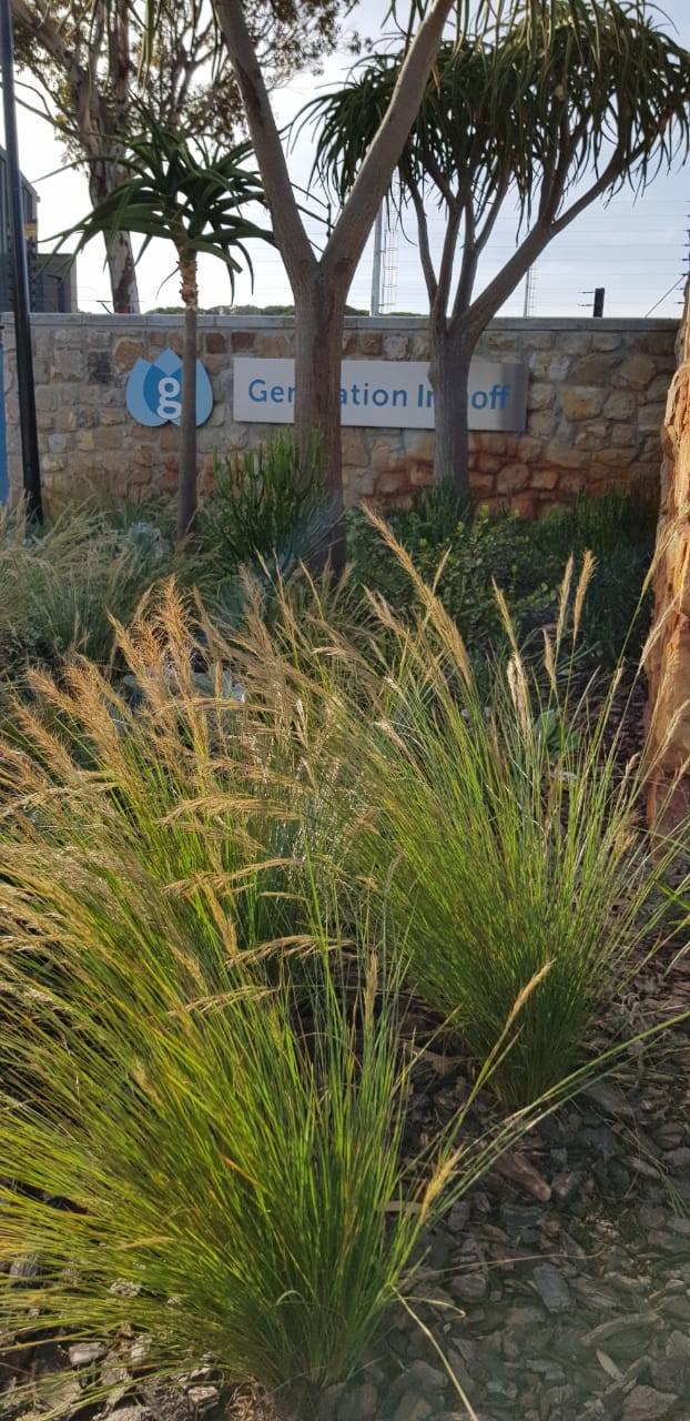 Generations School, Imhoff - Longmans Landscaping